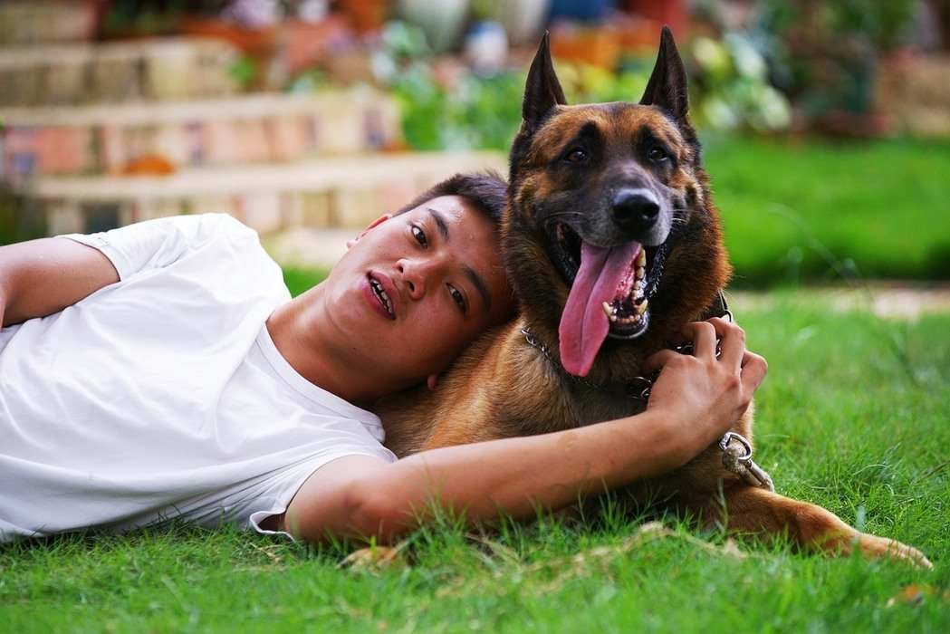 El papel de los perros de terapia en la salud mental - Kennel Club ...